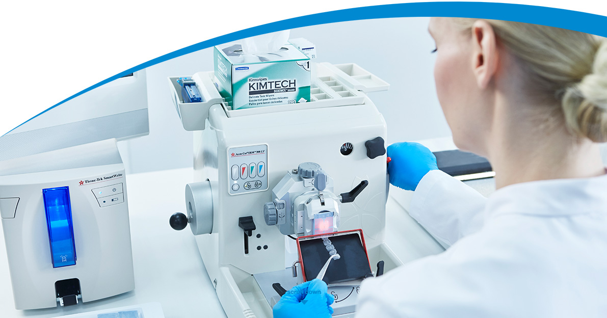 Welcome to Sakura-Americas | Sakura Americas