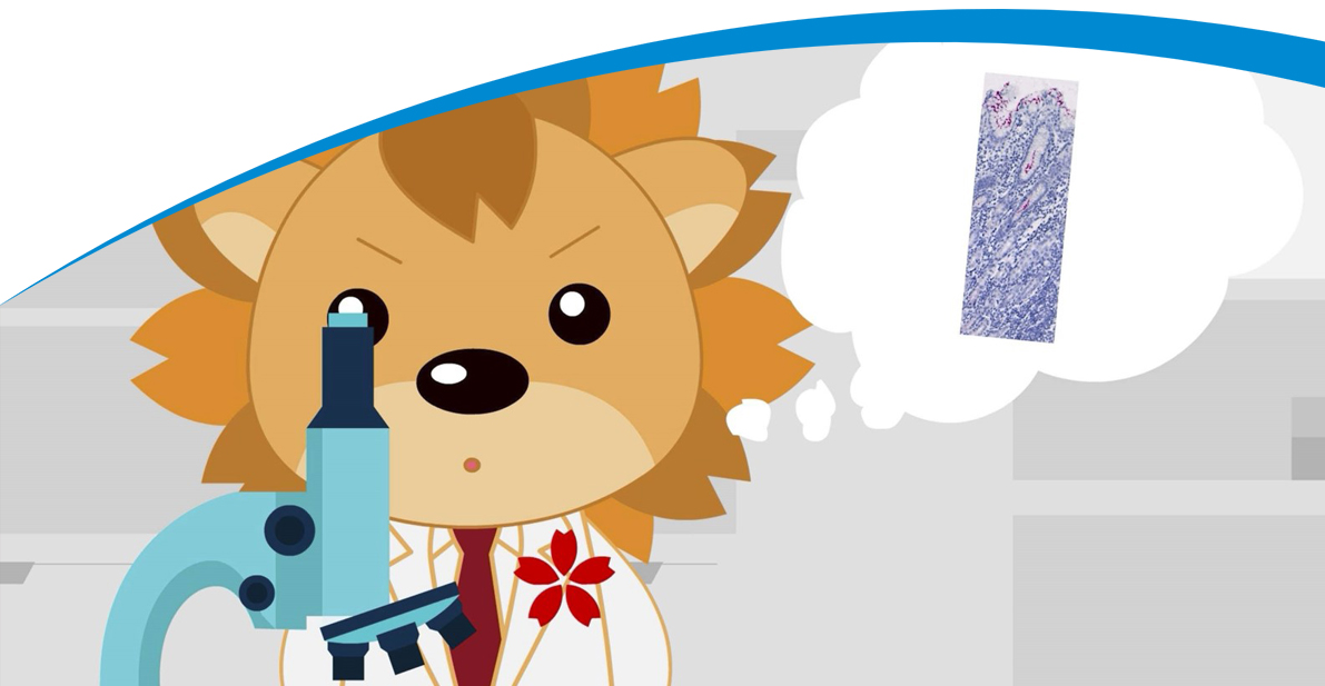 Histology, Pathology & Cytology Equipment | Sakura Finetek USA